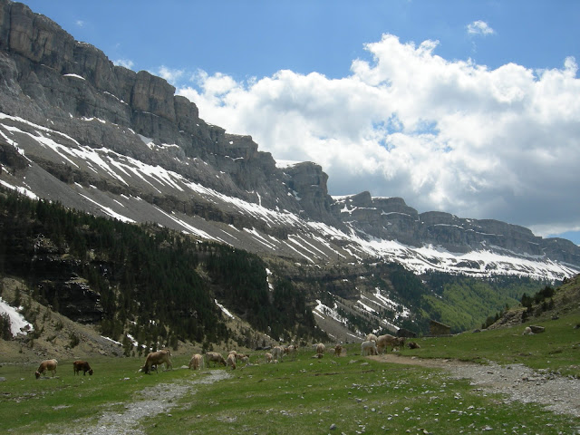 Enerhagen : Himmelske fjell i de spanske Pyreneene