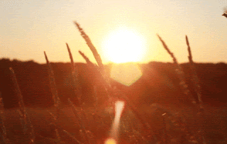 GIFS DE SOL