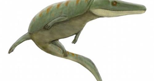 「Extinct Creatures」: テチサウルス Tethysaurus