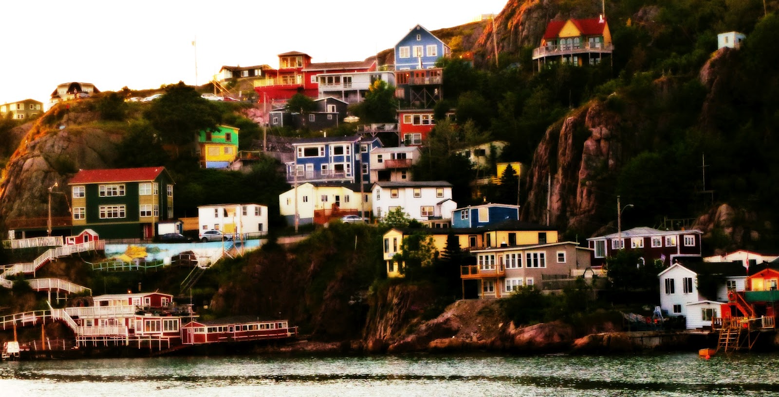 Charming Shadows: Life on the Farm: Newfoundland