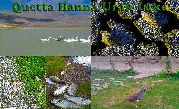 Hanna Urak Lake Quetta Balochistan - Speed Bell