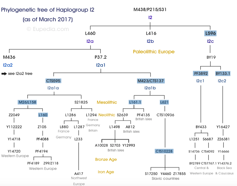 I-P37.2 haplogroup research: 2018