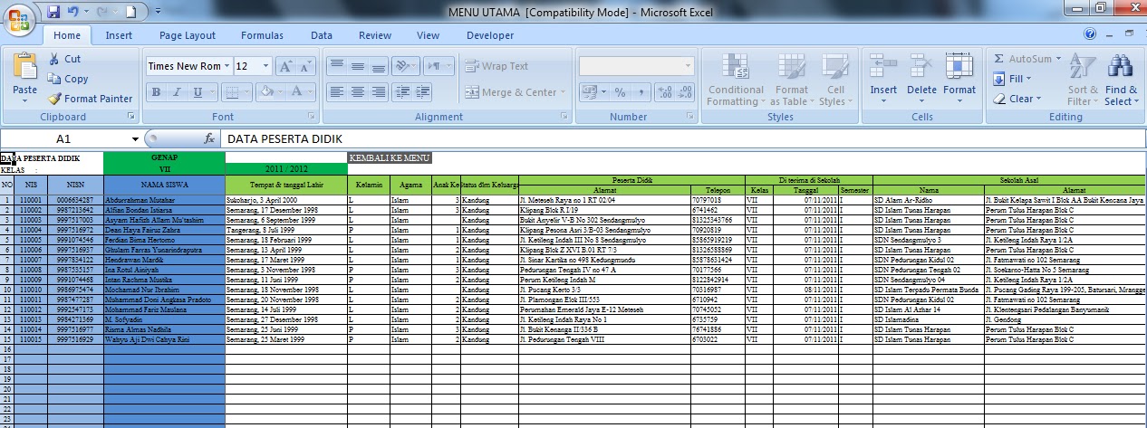 RAPORT EXCEL | MUIS EXCEL