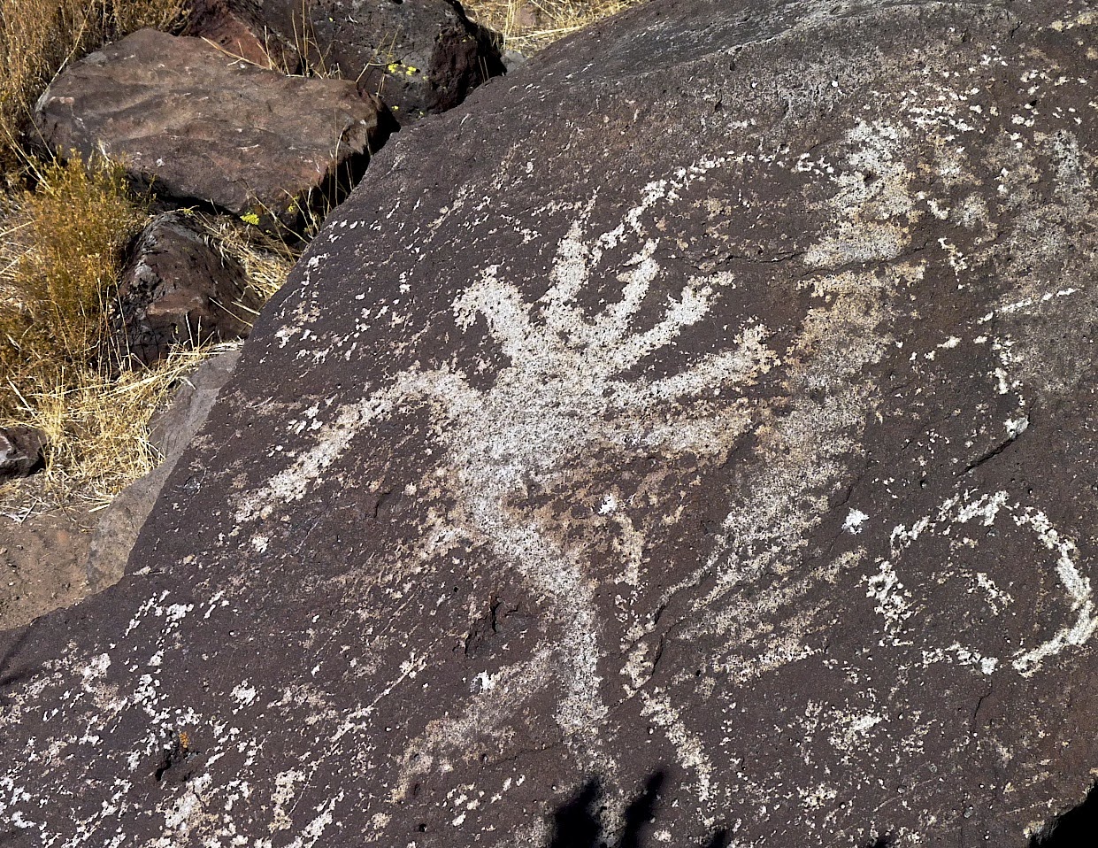 The Duffel Bag: * Lagomarsino Canyon Hike and Petroglyph Site