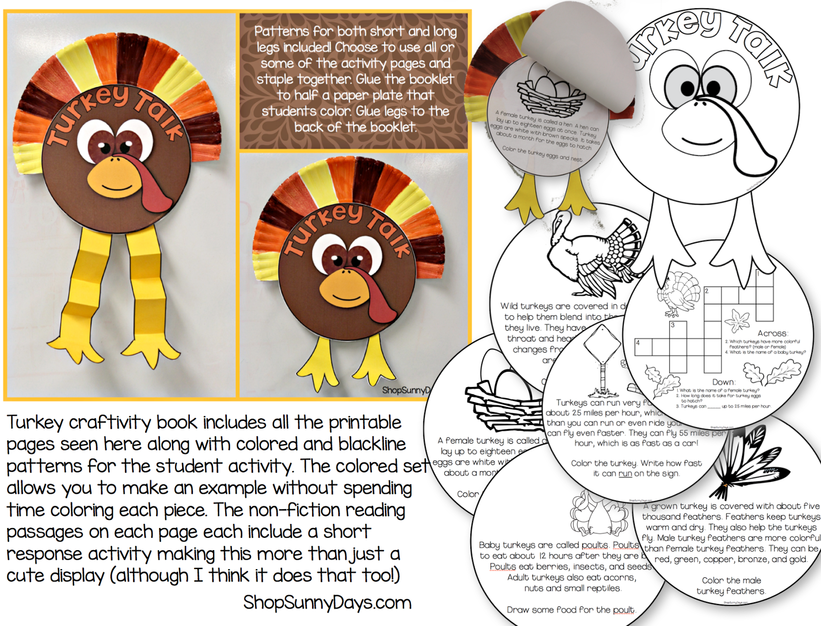 Informational Text Turkey Craftivity - Sunny Days in Second Grade