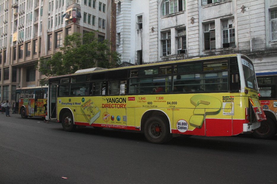 fourmis de Birmanie ou Myanmar: se déplacer