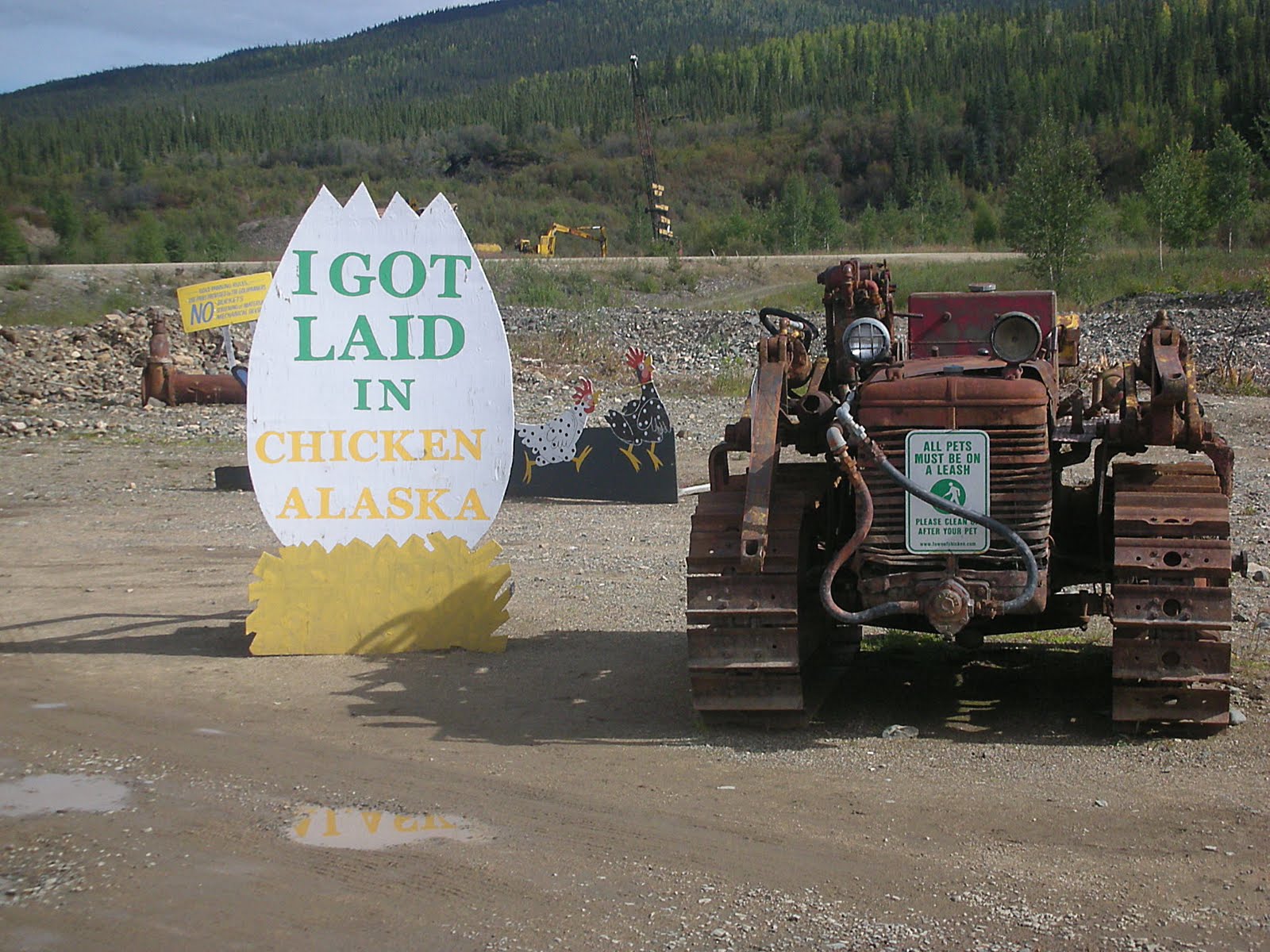 Don and Abby's 2011 Alaska Trip: No Chickens in Chicken