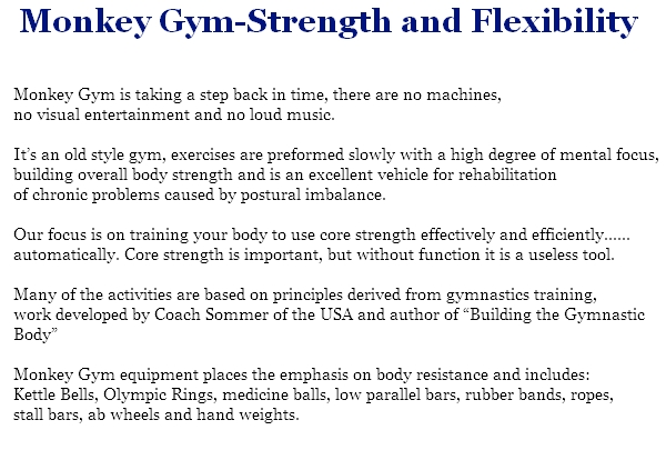 Monkey Gym – This Strength and Flexibility | best series 101