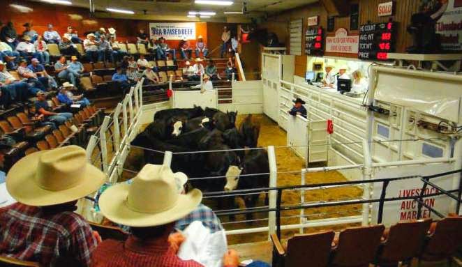 CAST: Auctioneers--Cryin' Out a Sale in Barns and Online
