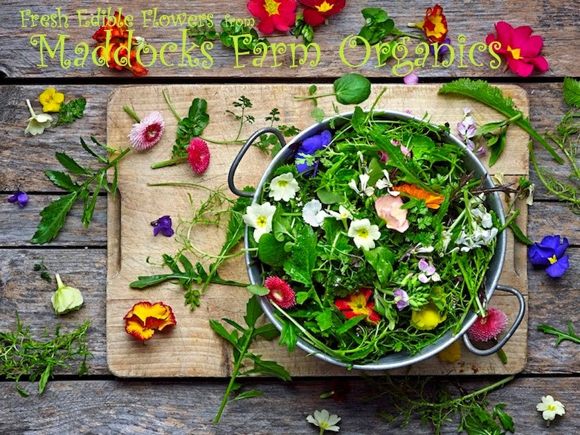 Edible flowers: Tulip Recipes. Stuffed tulip petals.