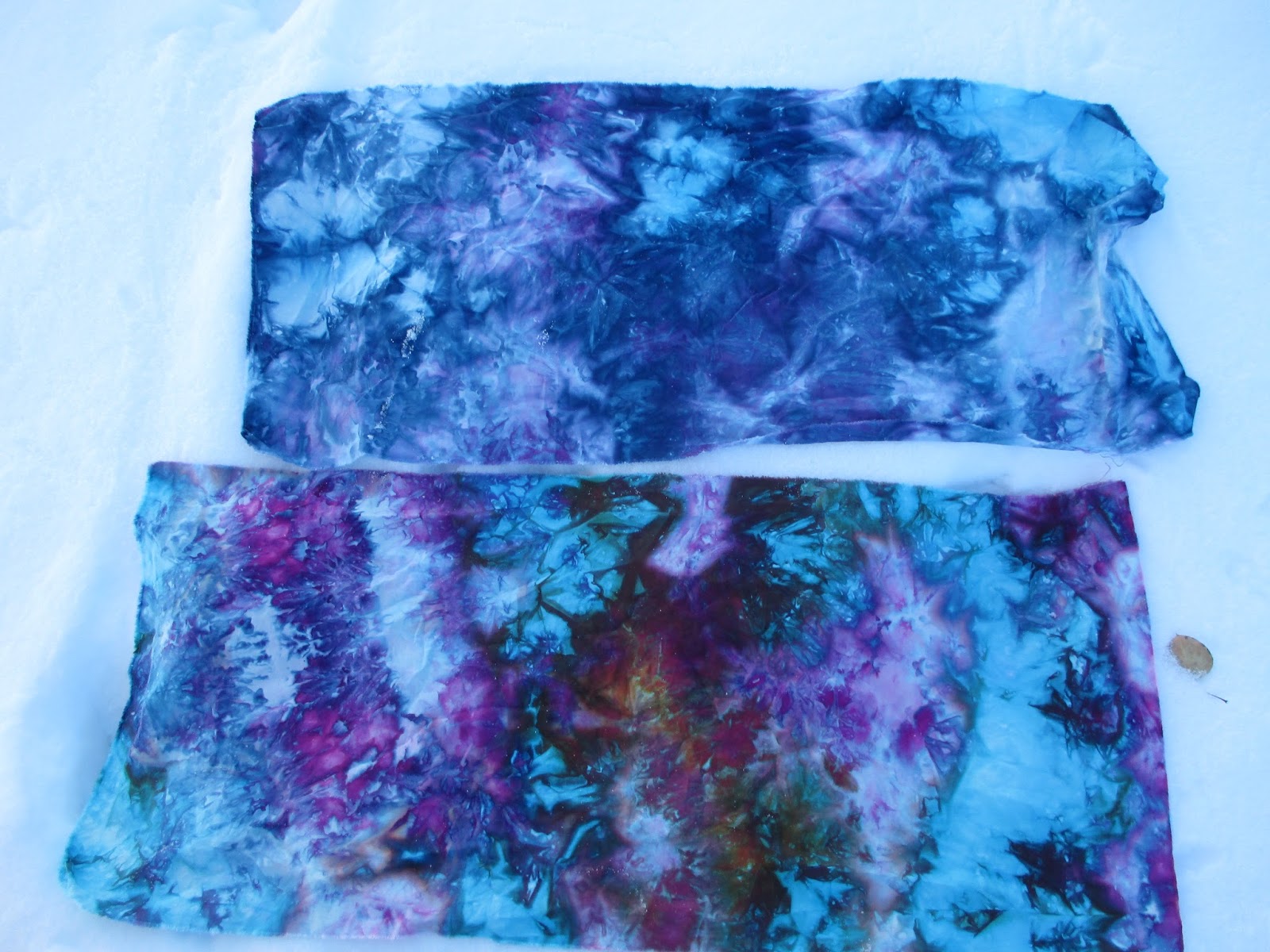 Bunchberry Studio: Snow Dyeing