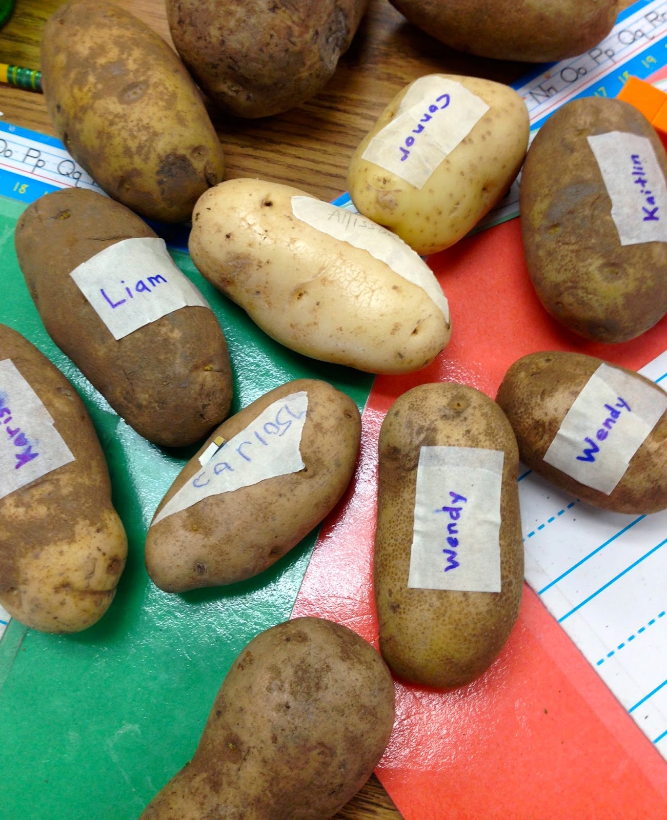 KFUNdamentals: Saint Patrick's Day Surprises & Our Nine SitSpot Winners