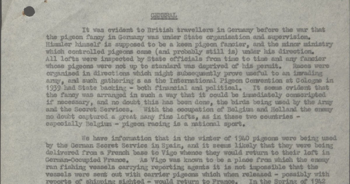 World War 2 Military Intelligence: Documents from WW2 reveal German ...