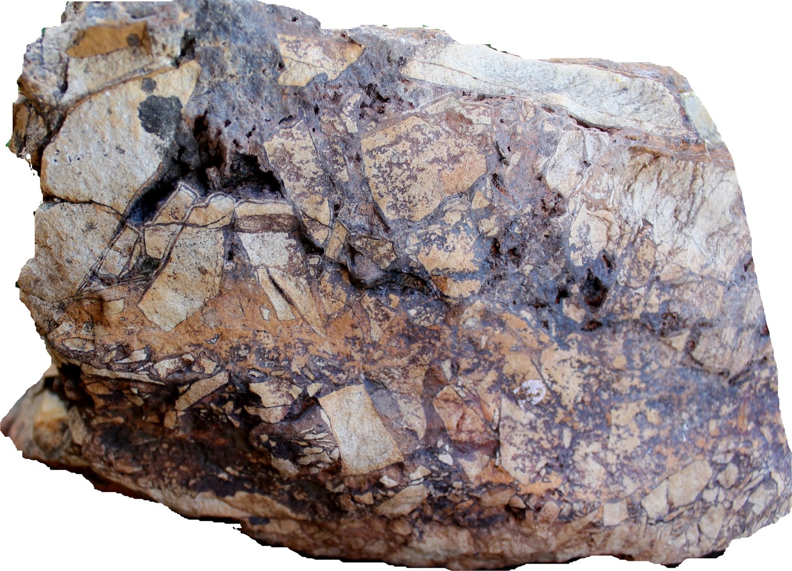 Cáceres al natural: BRECHA