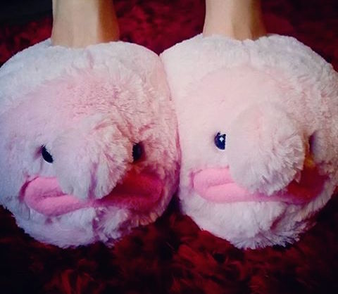 Blobfish Slippers: Blobfish Slippers