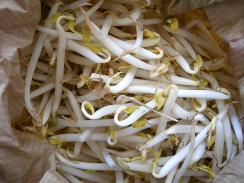 ifan Location's: Manfaat Toge