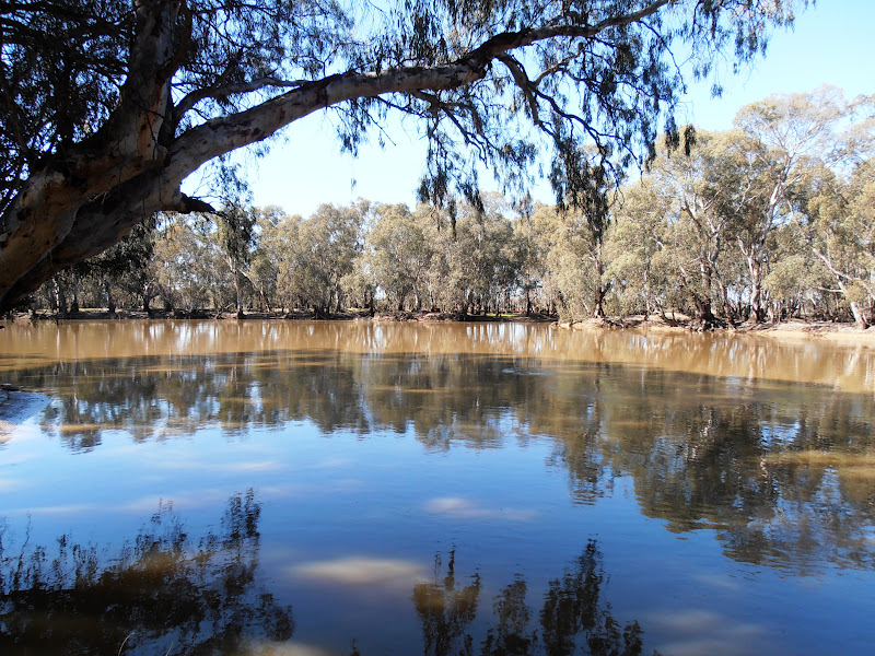 The Clarke's Aussie Adventure: 3 October 2012 - Nyah Recreation Reserve ...
