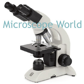 Microscope World Blog: Microscopes: Binocular vs. Trinocular