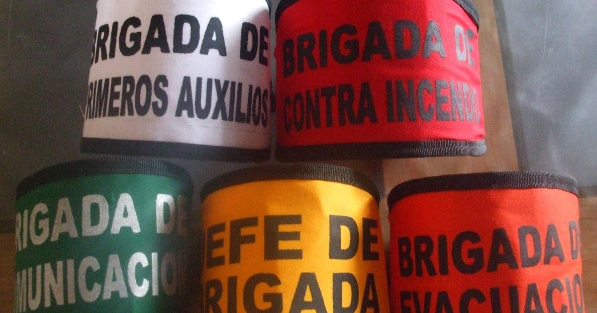 La importancia de las brigadas de Protección Civil