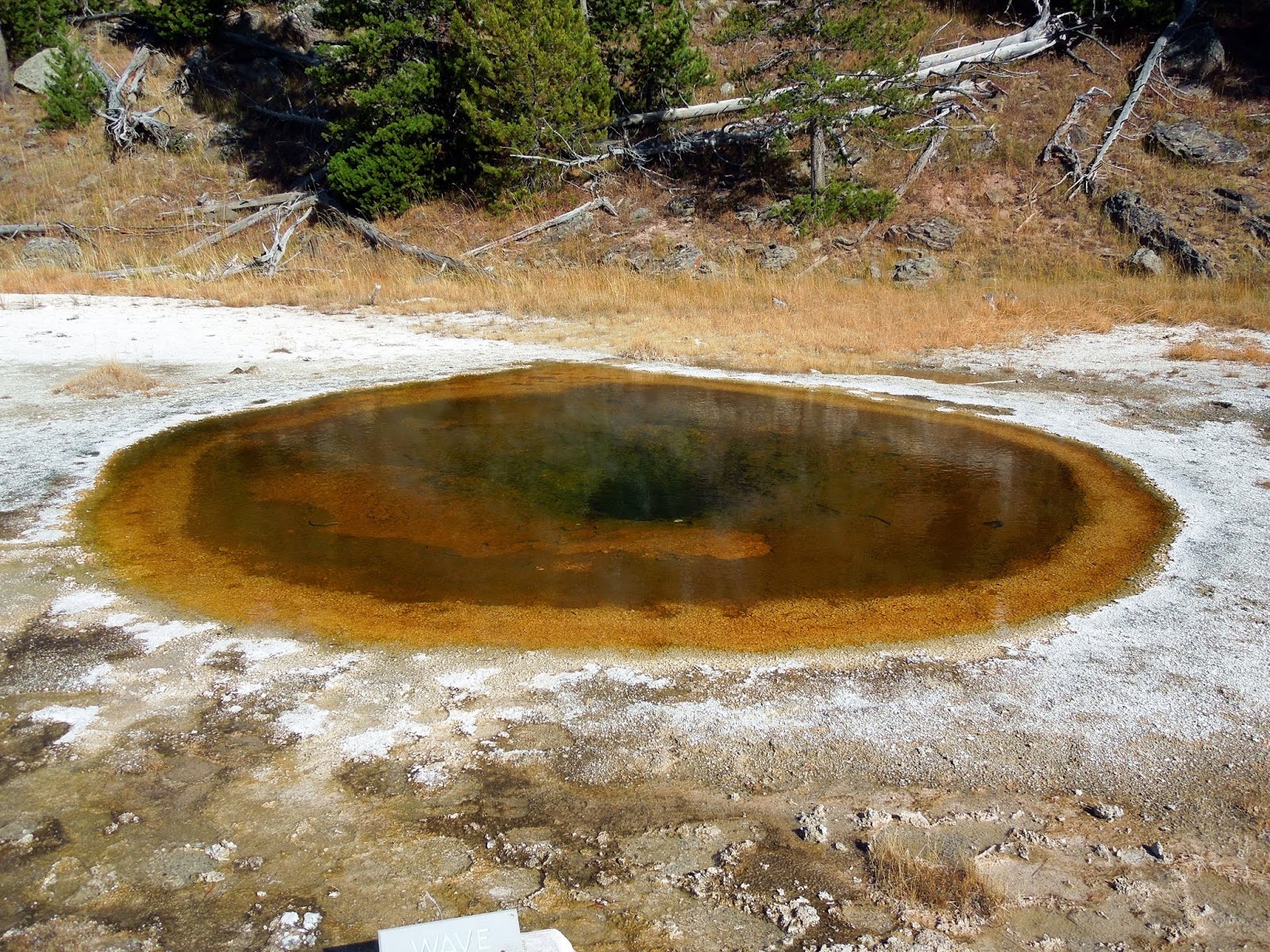 Focusing On Travel : Yellowstone: A Geyser Gazers Guide to the Upper ...