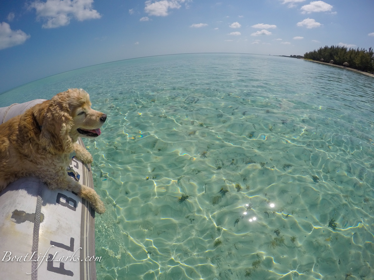 Dollar Harbour, South Cat Cay, Bimini Islands - Boat Life Larks - SV ...