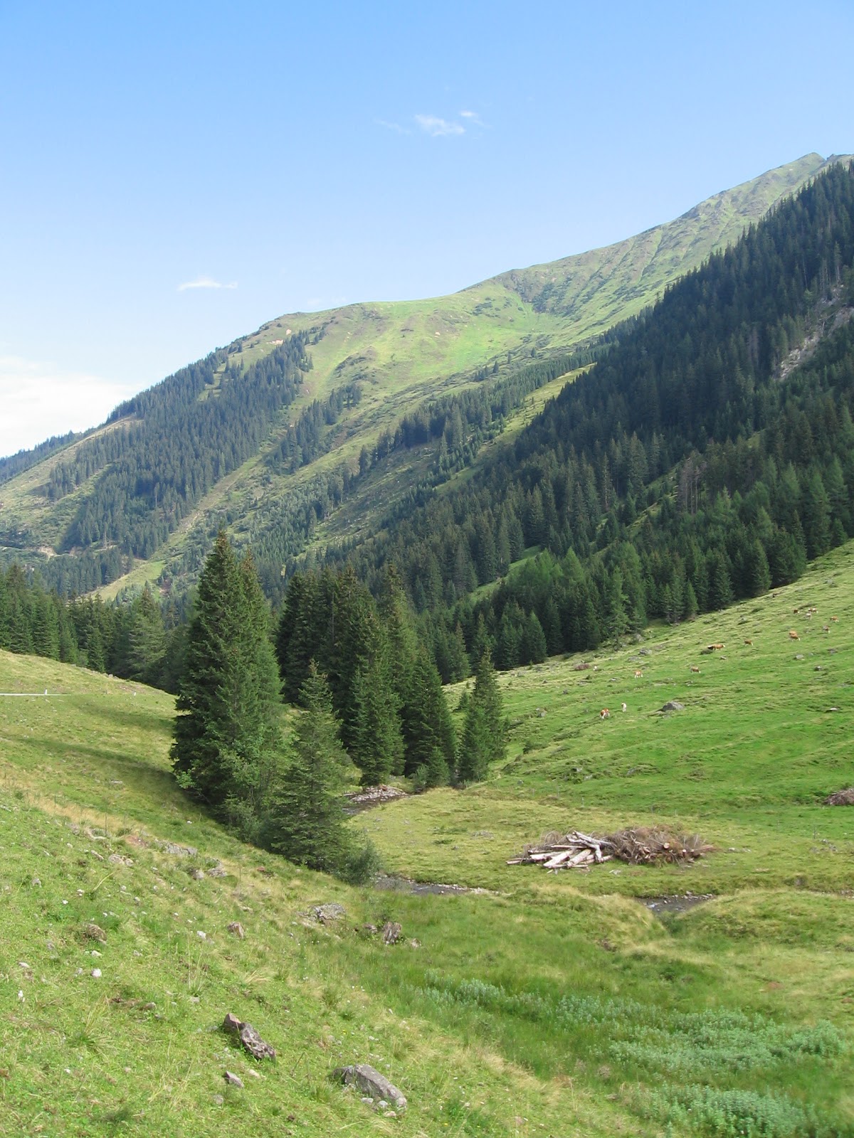 Nicht-von-dieser-Welt: Sölkpass od. Sölker Pass