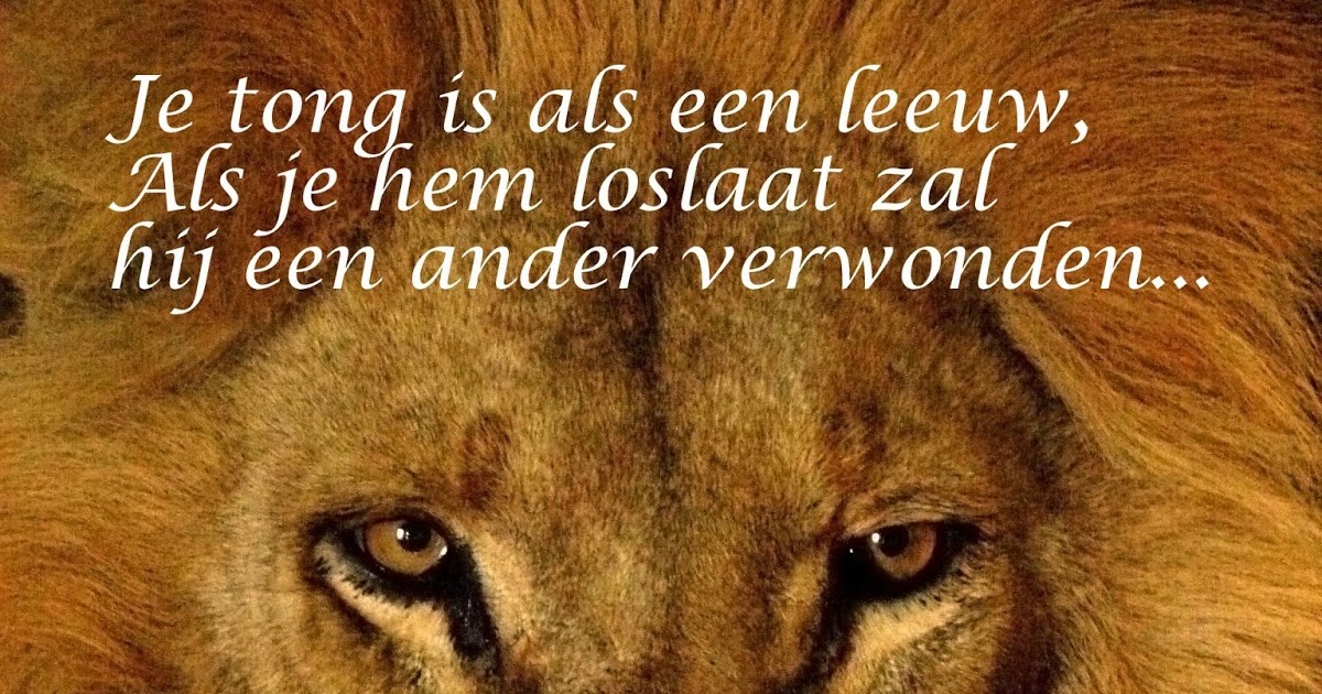 Citaten en Wijze Woorden uit de Islam: Je tong is als een leeuw