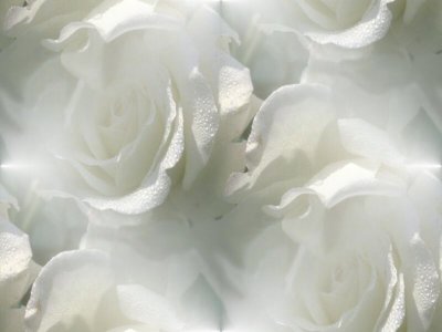 Sistema de Sanación Natural Tinerfe: Color Blanco