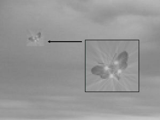 World's All Amazing Things, Pictures,Images And Wallpapers: UFO - Un ...