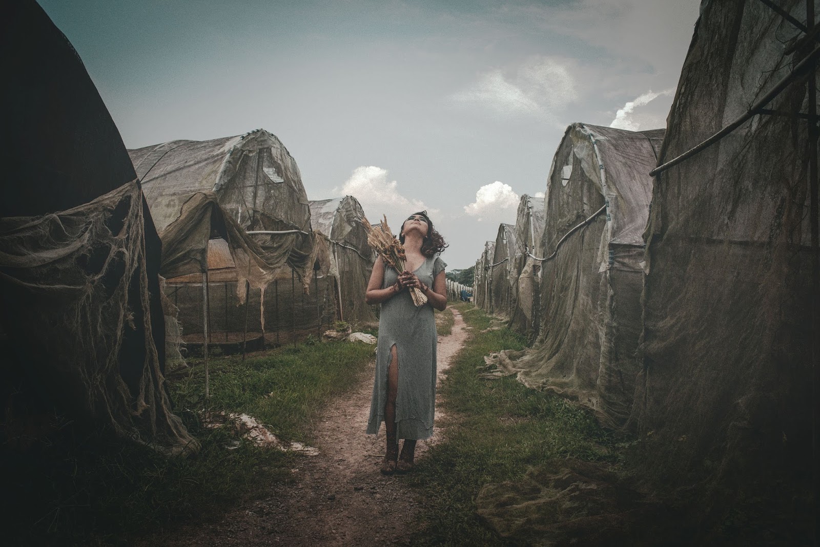 Post-Apocalyptic Love ~ The Rebellious Brides