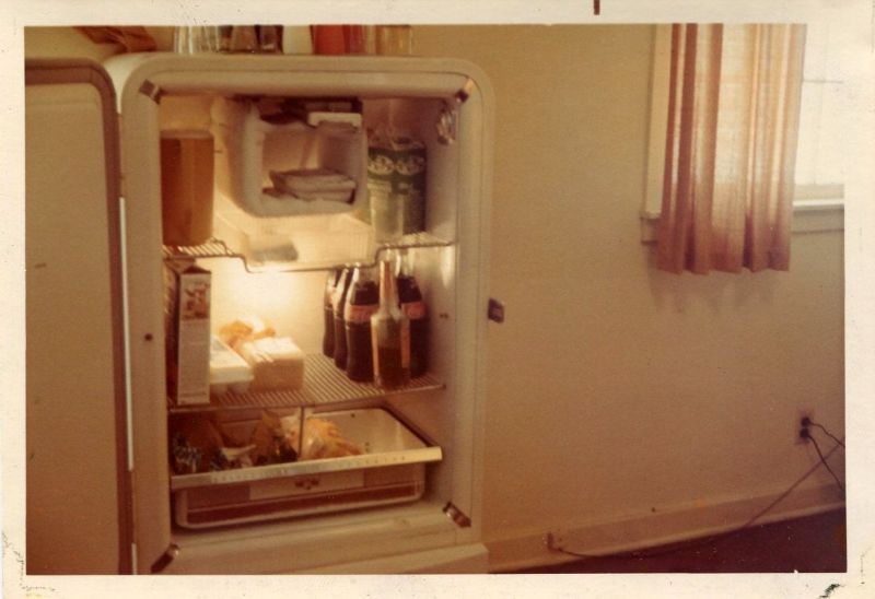 25 Vintage Photos Show What People Often Had in the Refrigerators From ...
