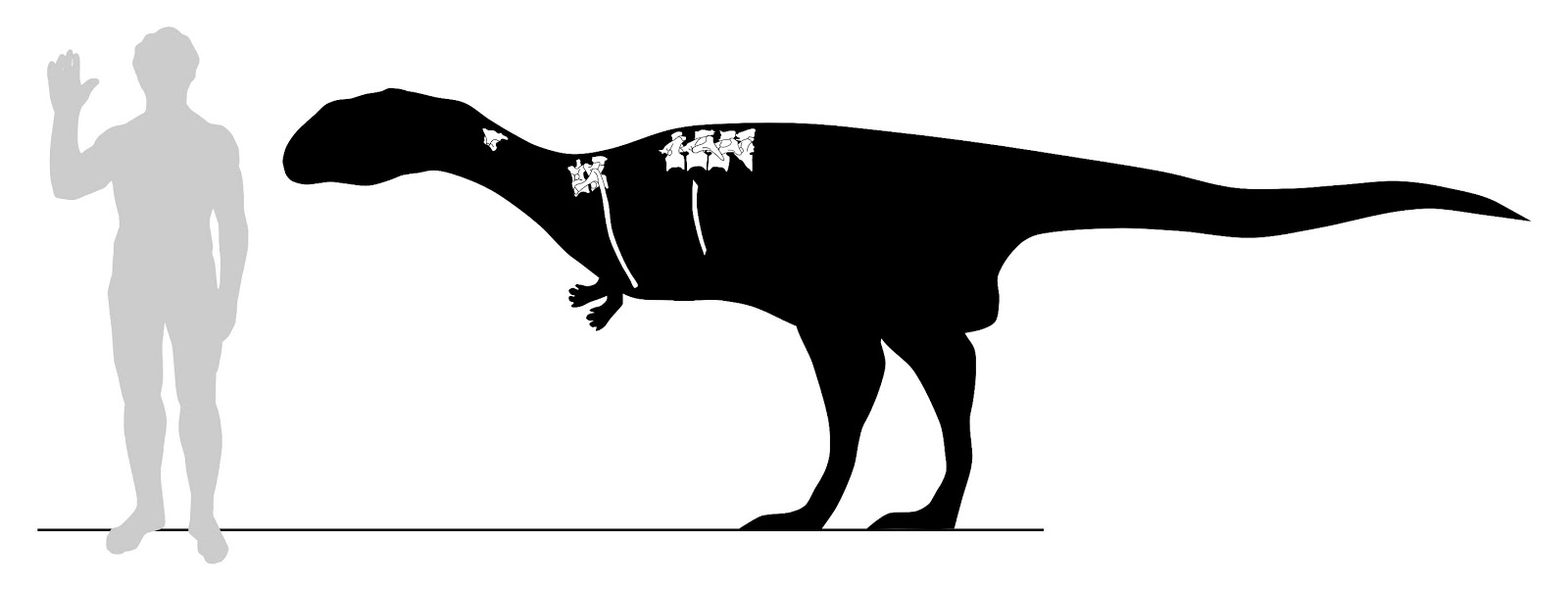 Species New to Science: [Paleontology • 2013] Dahalokely tokana • An ...