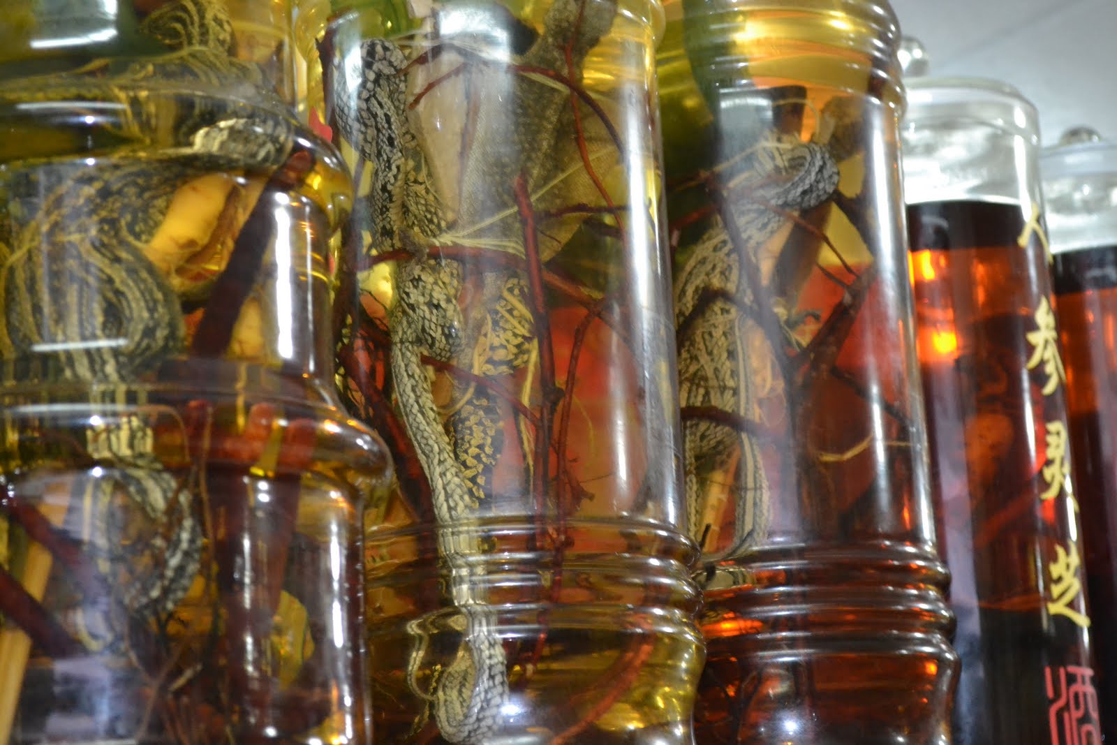 China Home Land Tour July 2011: Guangzhou - Tuesday, June 28, 2011