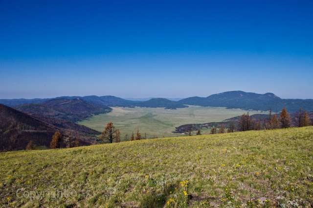 Kaleb Davis Photograpghy