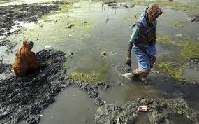 The environmental impact of a war