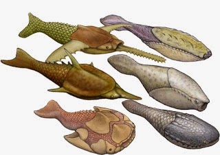 Ciencias de Joseleg: El Ordovícico