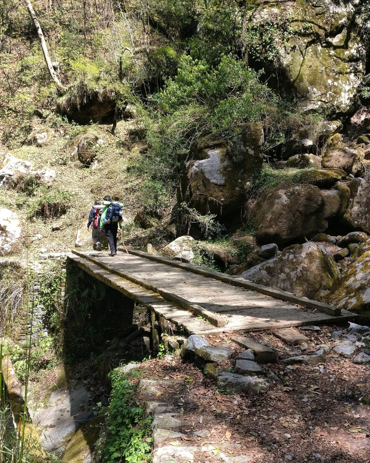 Pindari Glacier : A trek to the origin of river Pindar