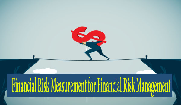 Financial Risk Measurement for Financial Risk Management