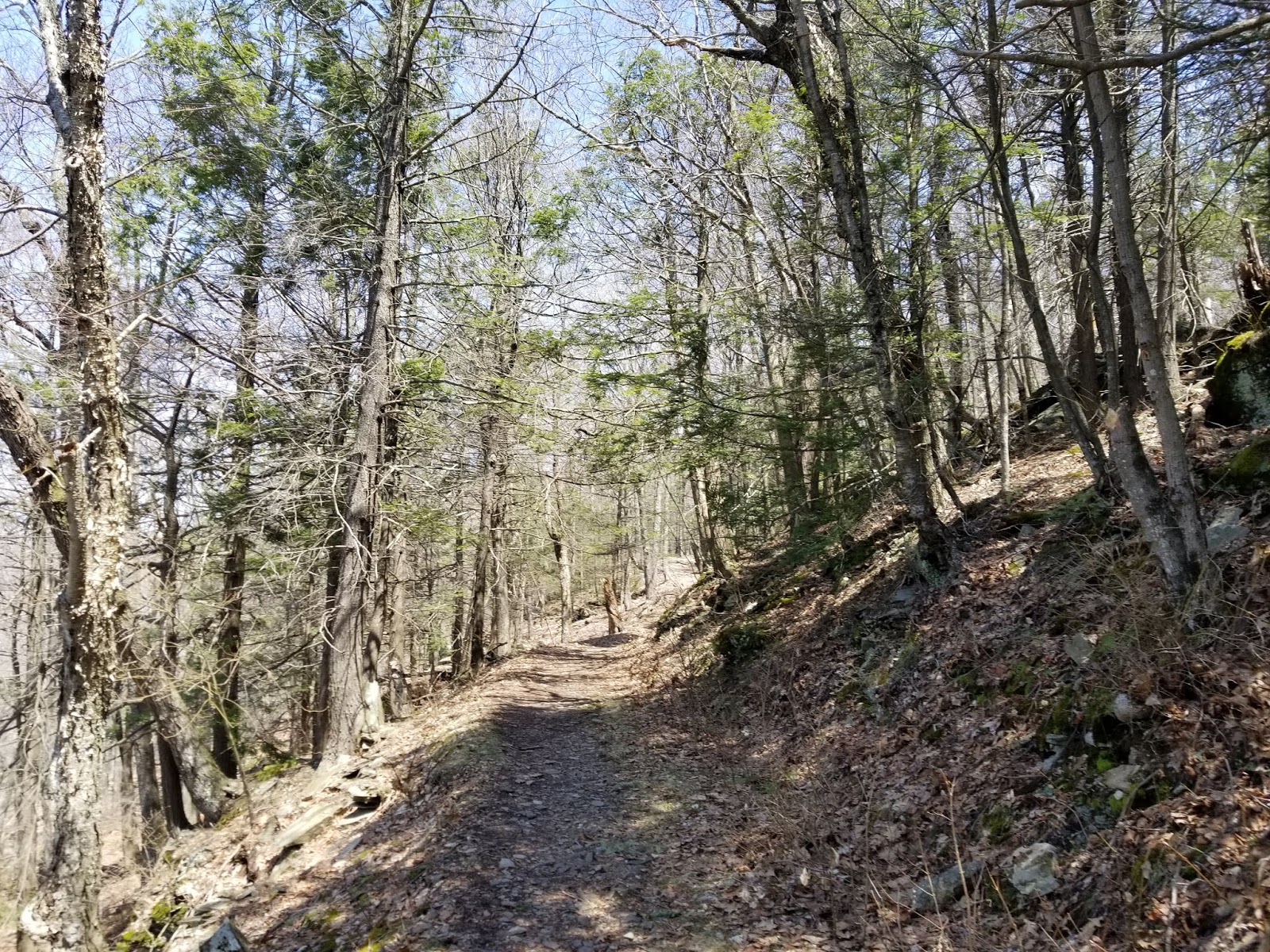 The Albany Hiker: Tramping up Tremper Mountain (Mt. Tremper)