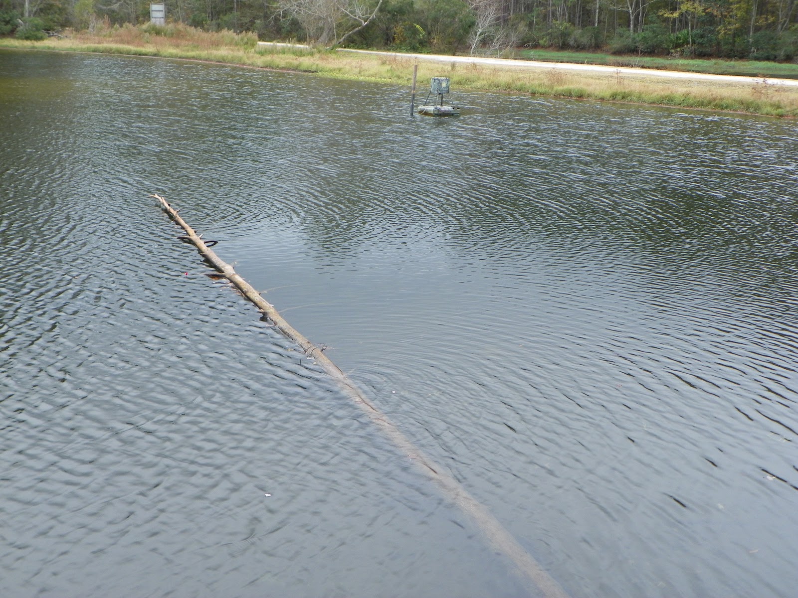 Florida Sundog: Large scale diffraction