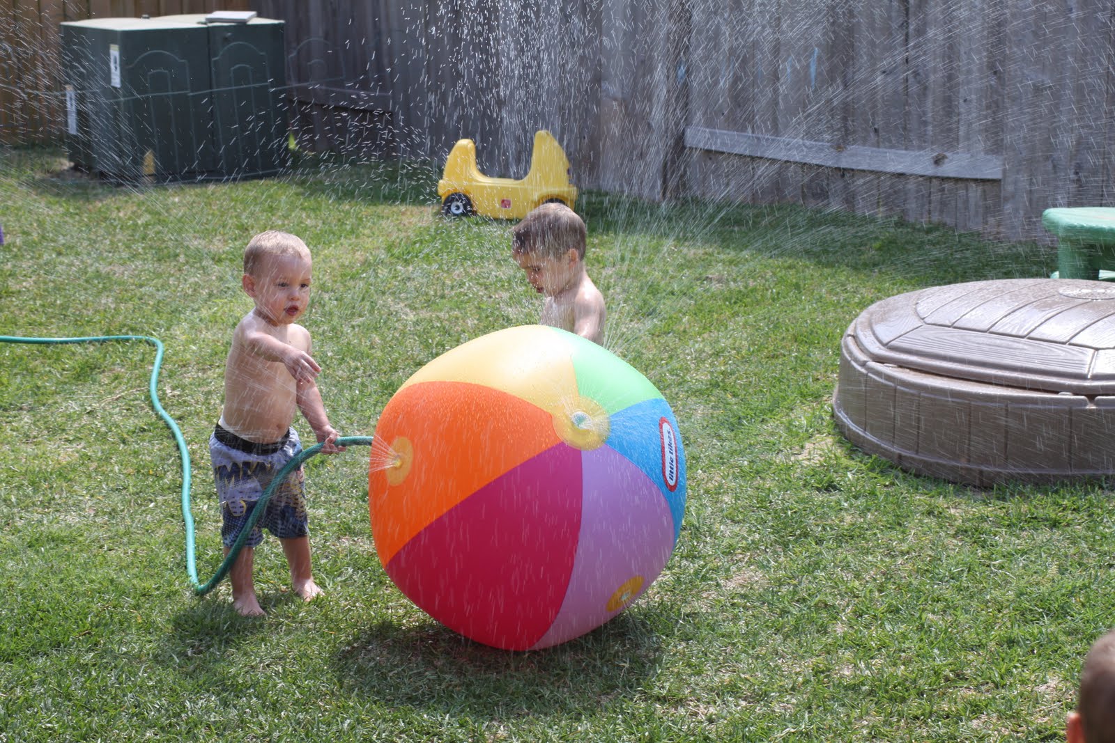 The Peacock Family: Water Sprinkler Fun