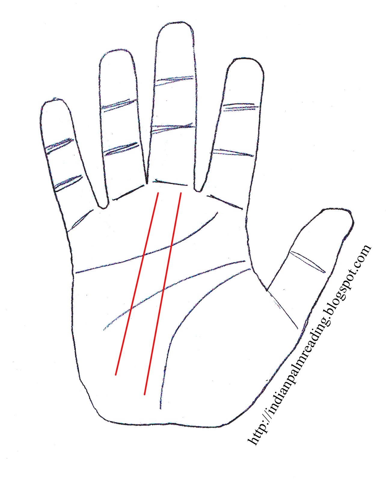 Meaning of Fate Line In Indian Palmistry ~ INDIAN PALMISTRY | PALM ...