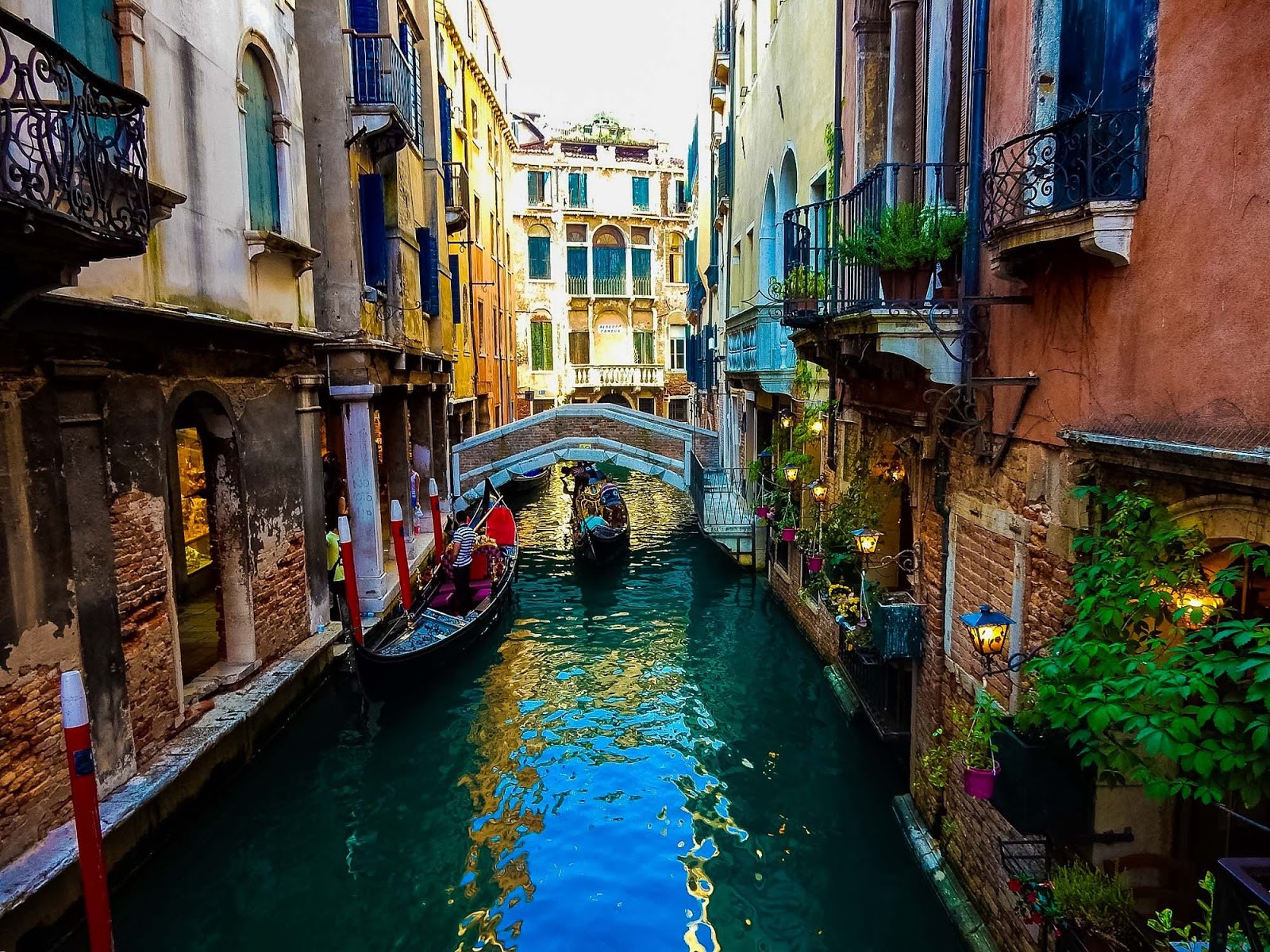 Why You Need To Visit Venice | Explore Shaw