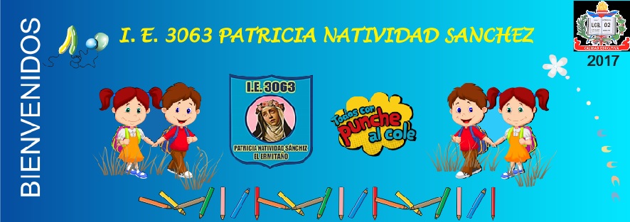 I. E. 3063 PATRICIA NATIVIDAD SANCHEZ