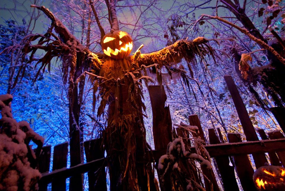 PUMPKINROT.COM: The Blog: Halloween Snow