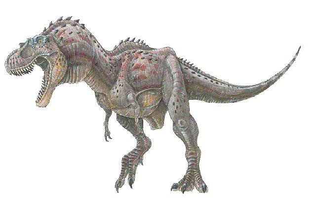 LOS DINOSAURIOS DE MANU: gorgosaurus