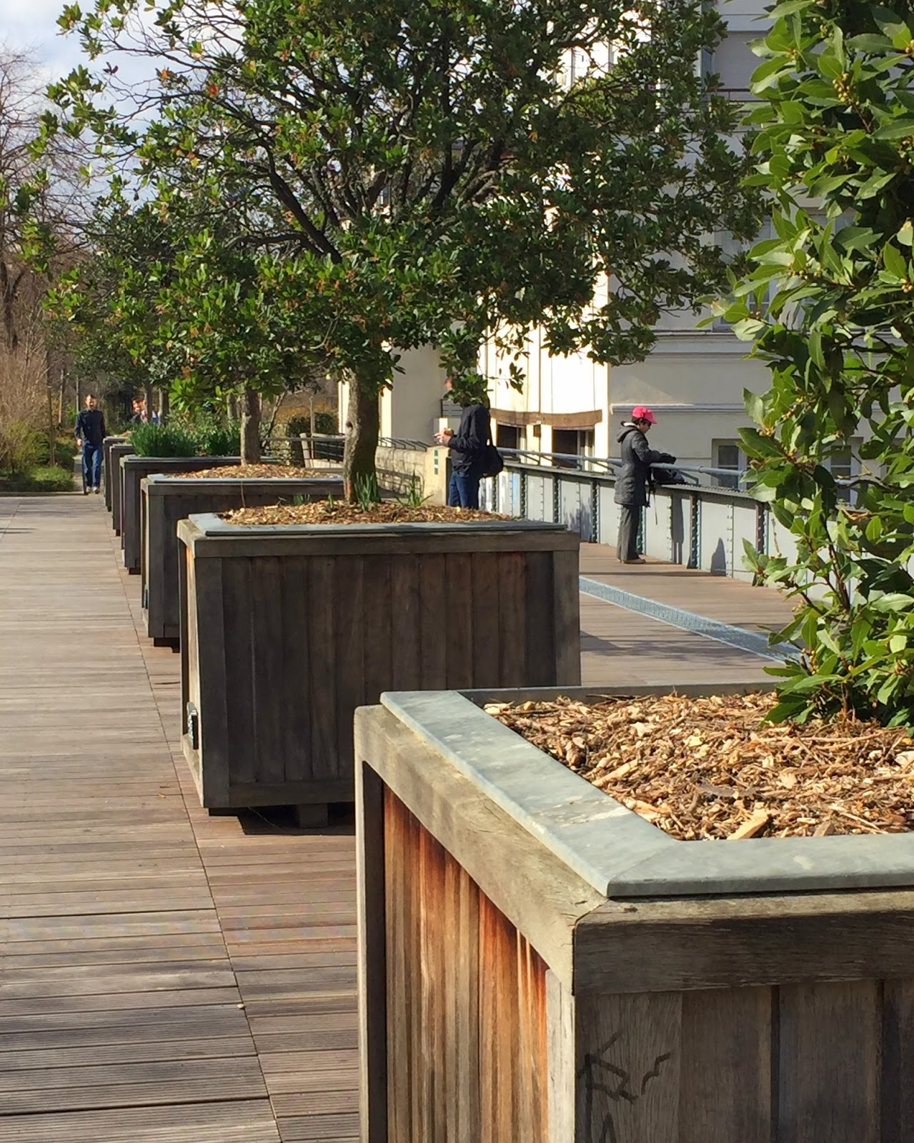 Fra frø til blomst: Promenade plantée - High Line i Paris