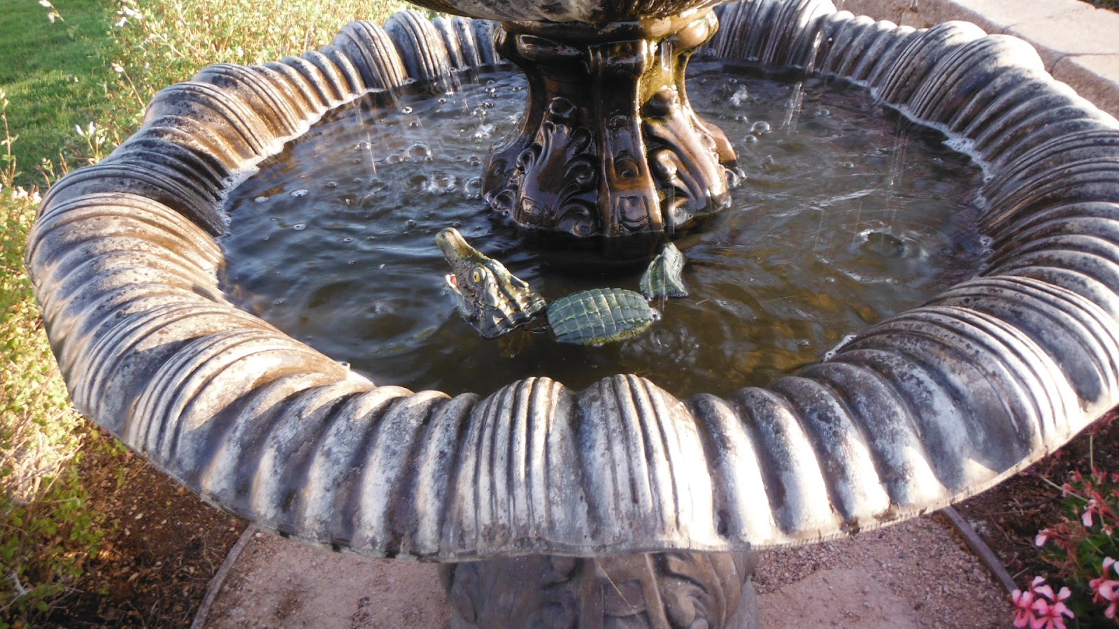 The 2 Minute Gardener: Photo - Water Fountain with Crocodile