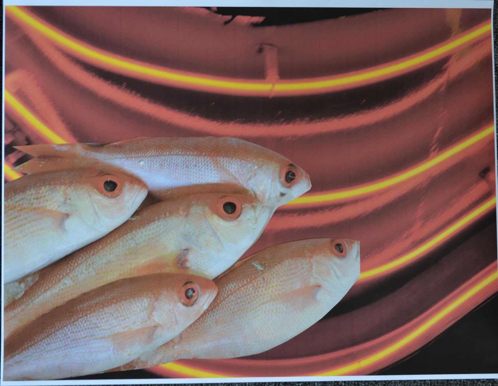 Reflective log Pam Tierney