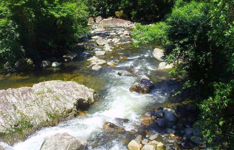 Ecossistemas Lóticos